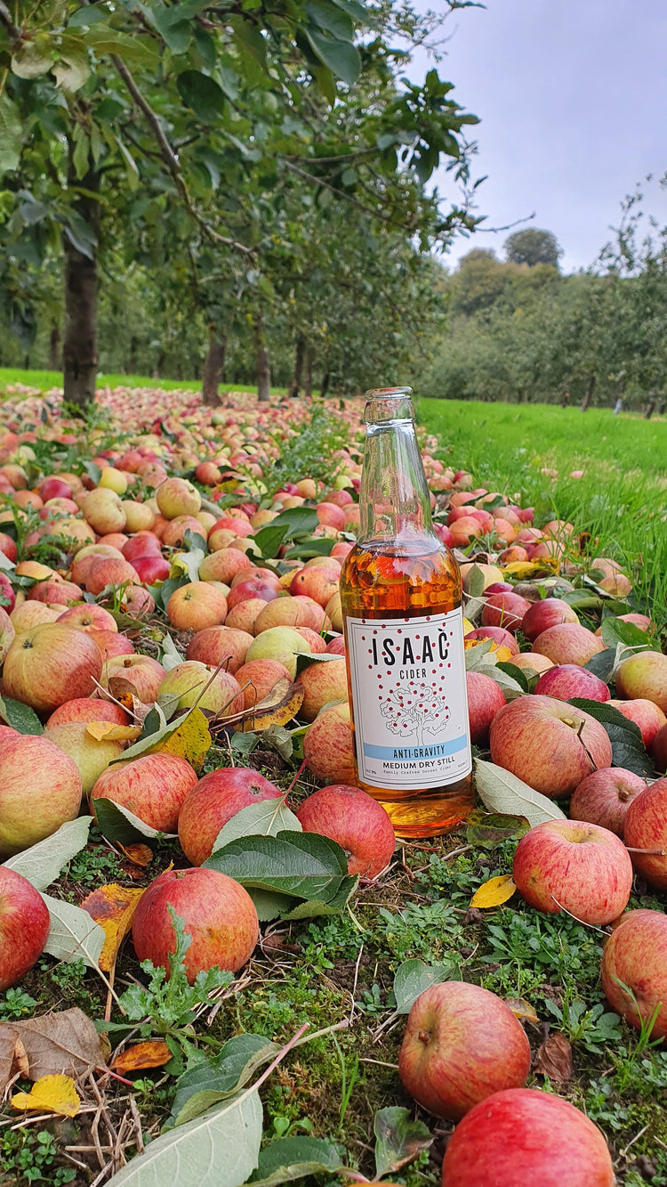 Isaac Cider